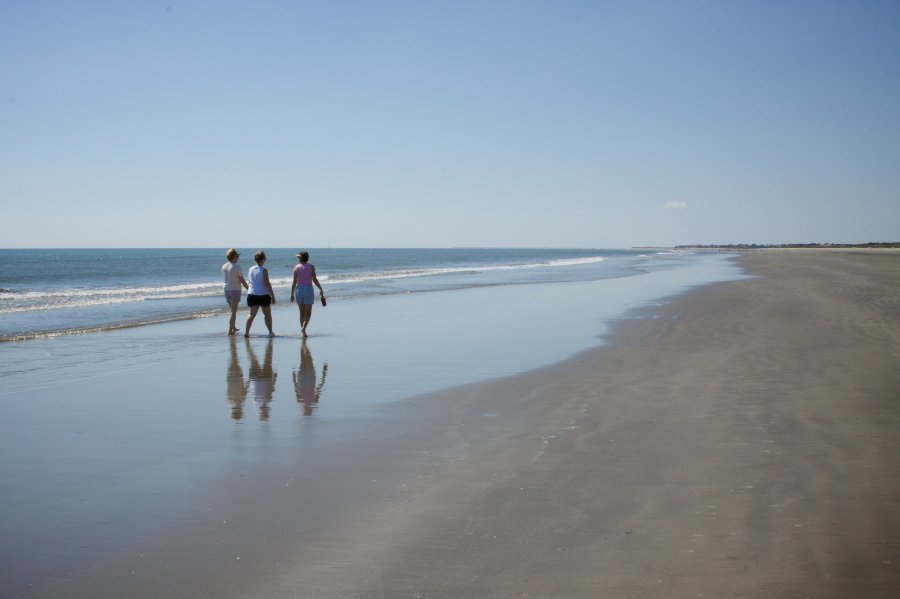 Kiawah Beachwalker Park SC Nature Adventures